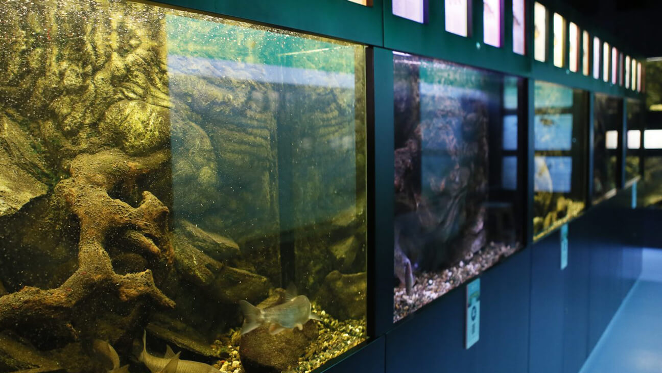 RIVEO – Lerarenkaart